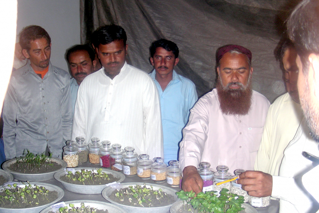 Seeds – Jullundur Private Ltd.